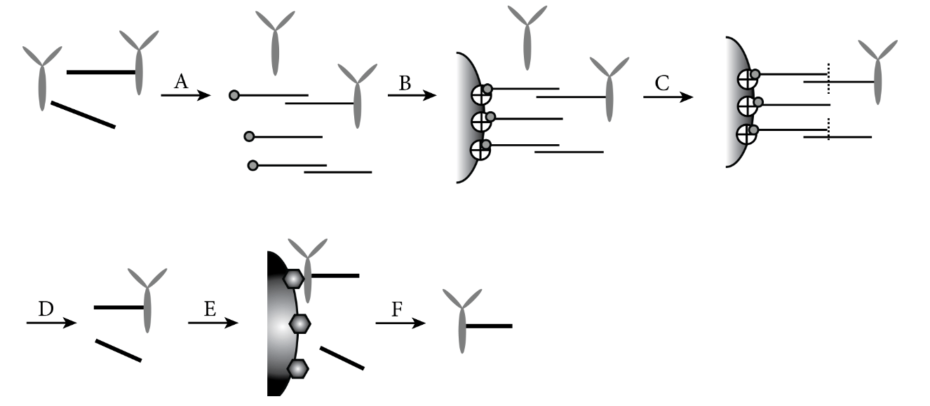 MCAT - Diagnostic Test - Biology Section
